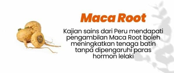 MEDI-MAN — MEN SOLUTION